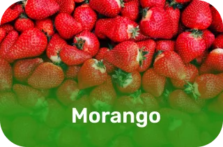 Morango - Frutas Lessa